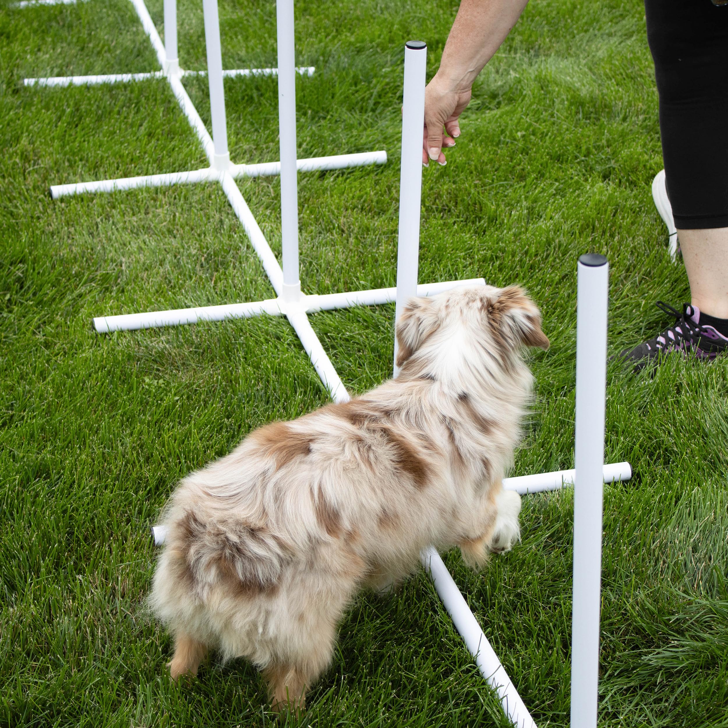 Snapklik.com : MiMu Dog Agility Equipment 10pc Obstacle Course ...