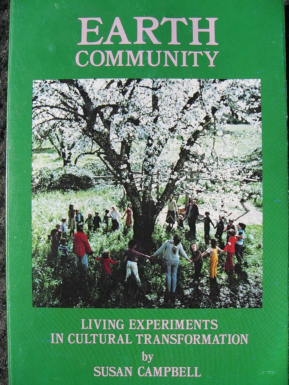 Earth Community: Living Experiments in Cultural Transformation - Kindle ...