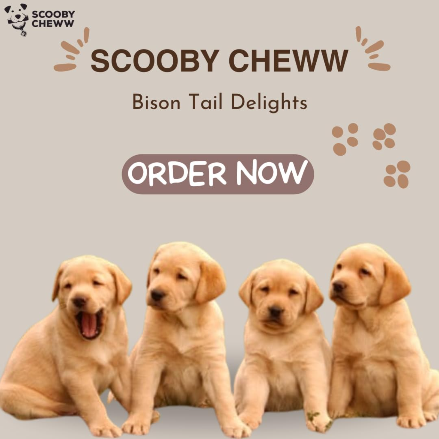 Watch Scooby Cheww Bison Tail Delight on Amazon Live