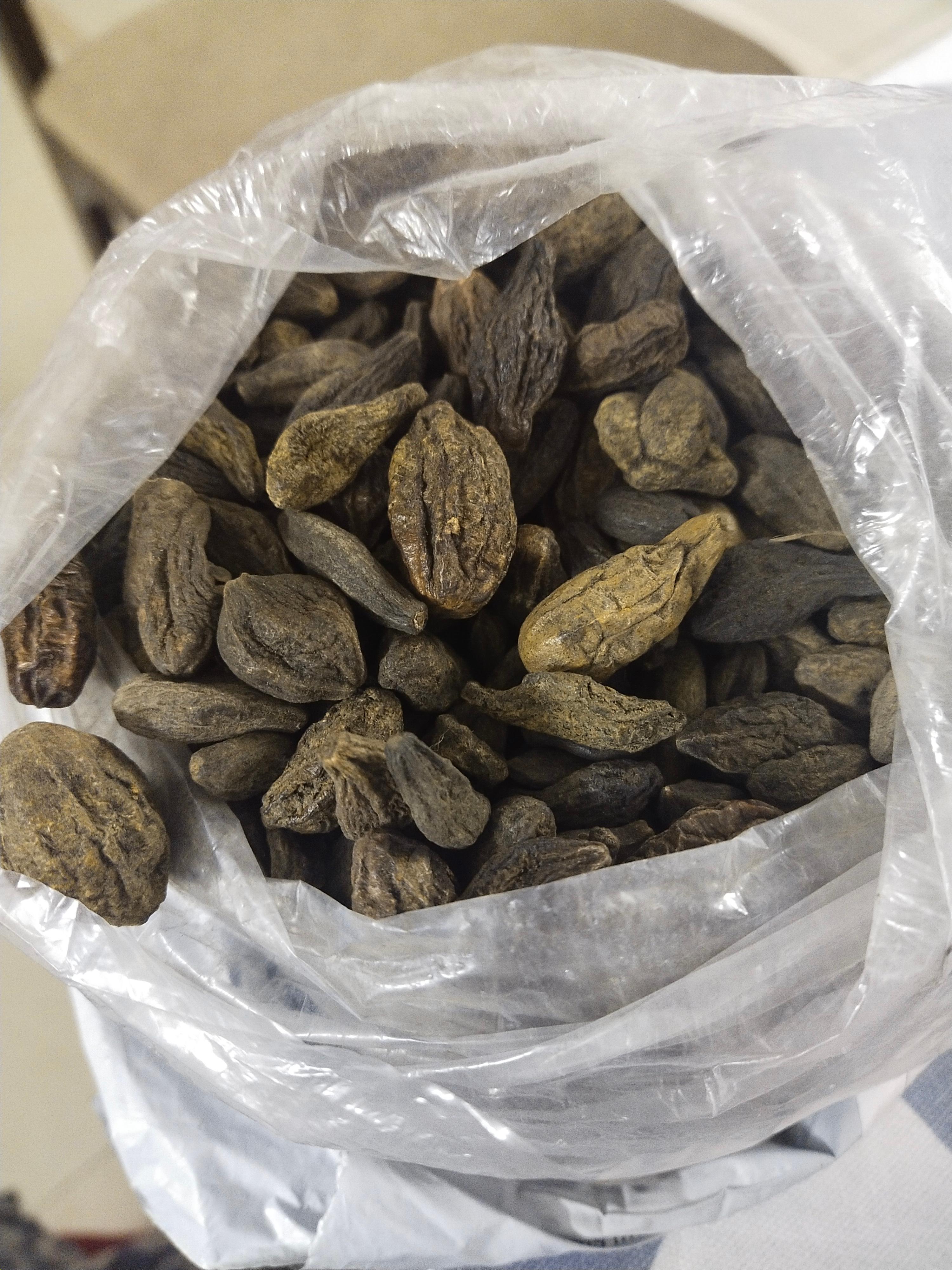 Buy Haritaki | Kadukkai | Karakkaya | Choti Harad | Harde | Kali Harad ...