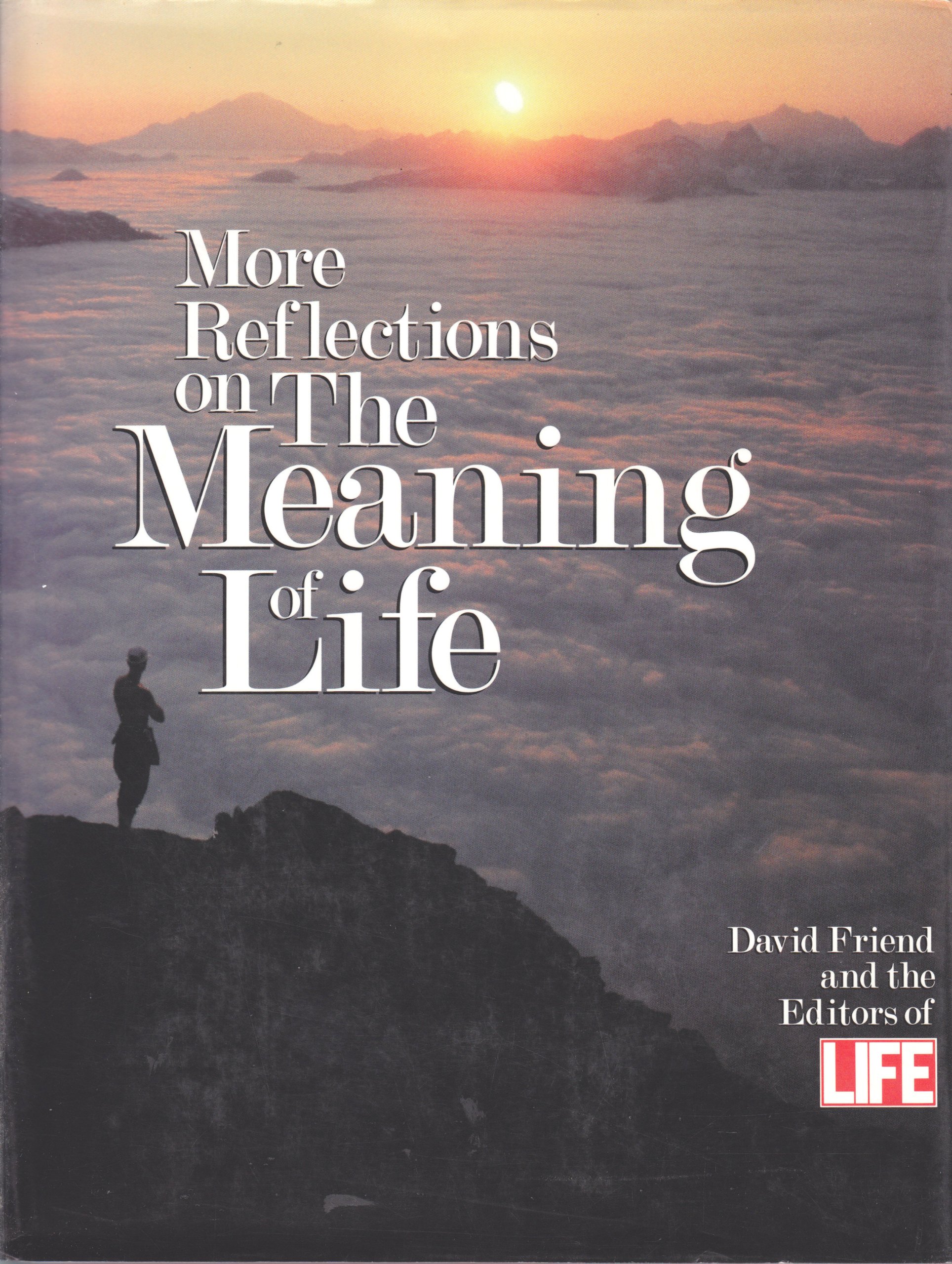 More Reflections on the Meaning of Life: Friend, David: 9780316294096 ...
