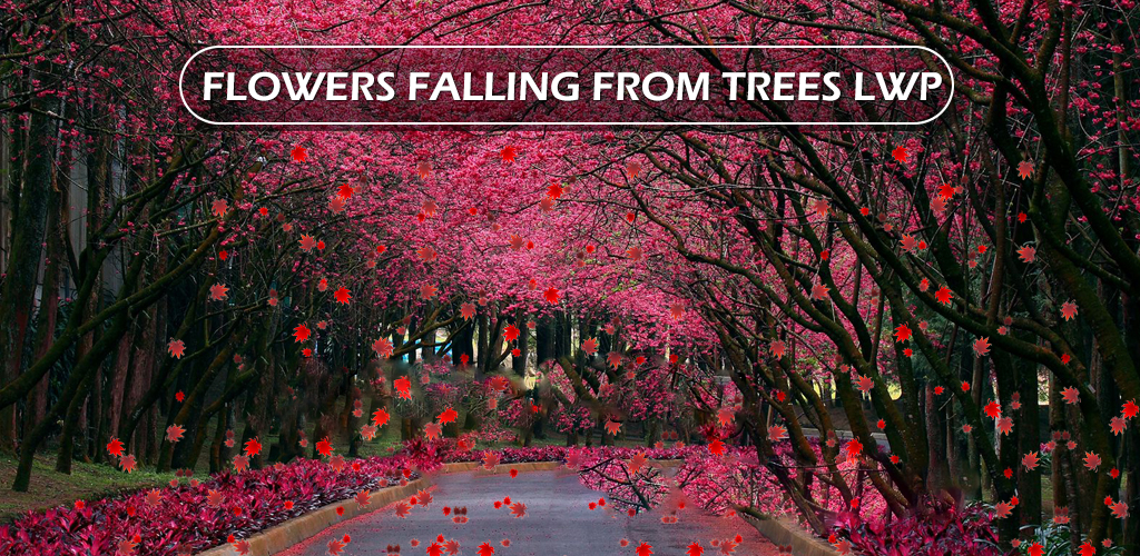 Flowers falling from trees LWP-Amazonアプリストアのアプリ