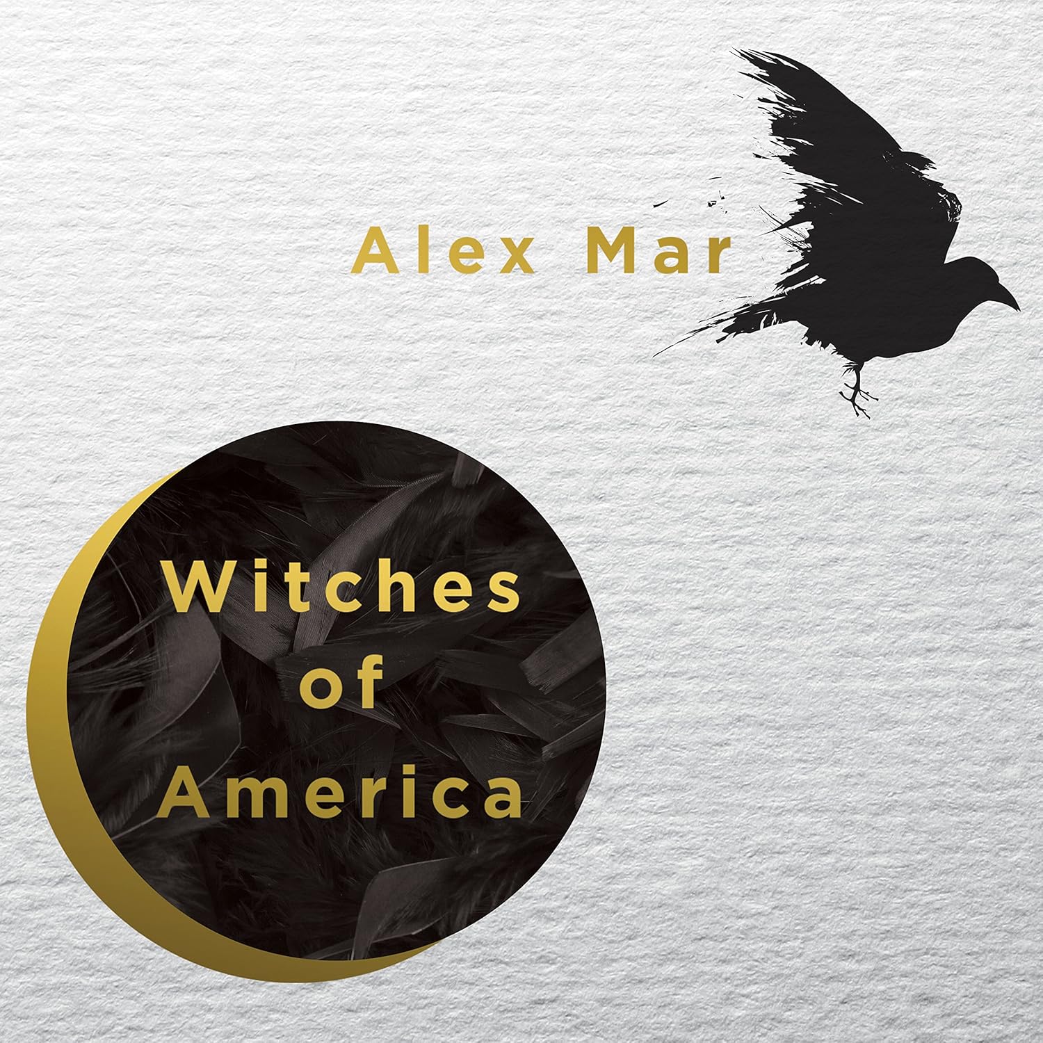 Amazon.com: Witches of America (Audible Audio Edition): Alex Mar ...