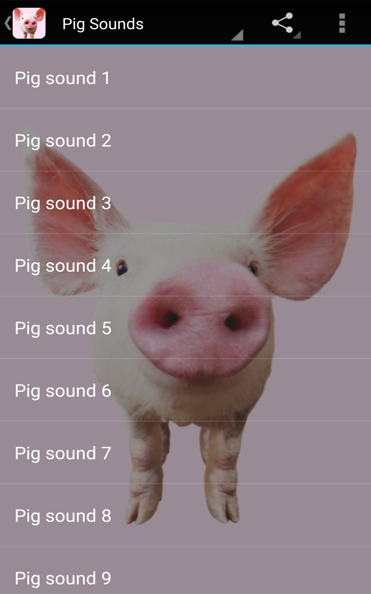 Pig Sounds - App on the Amazon Appstore