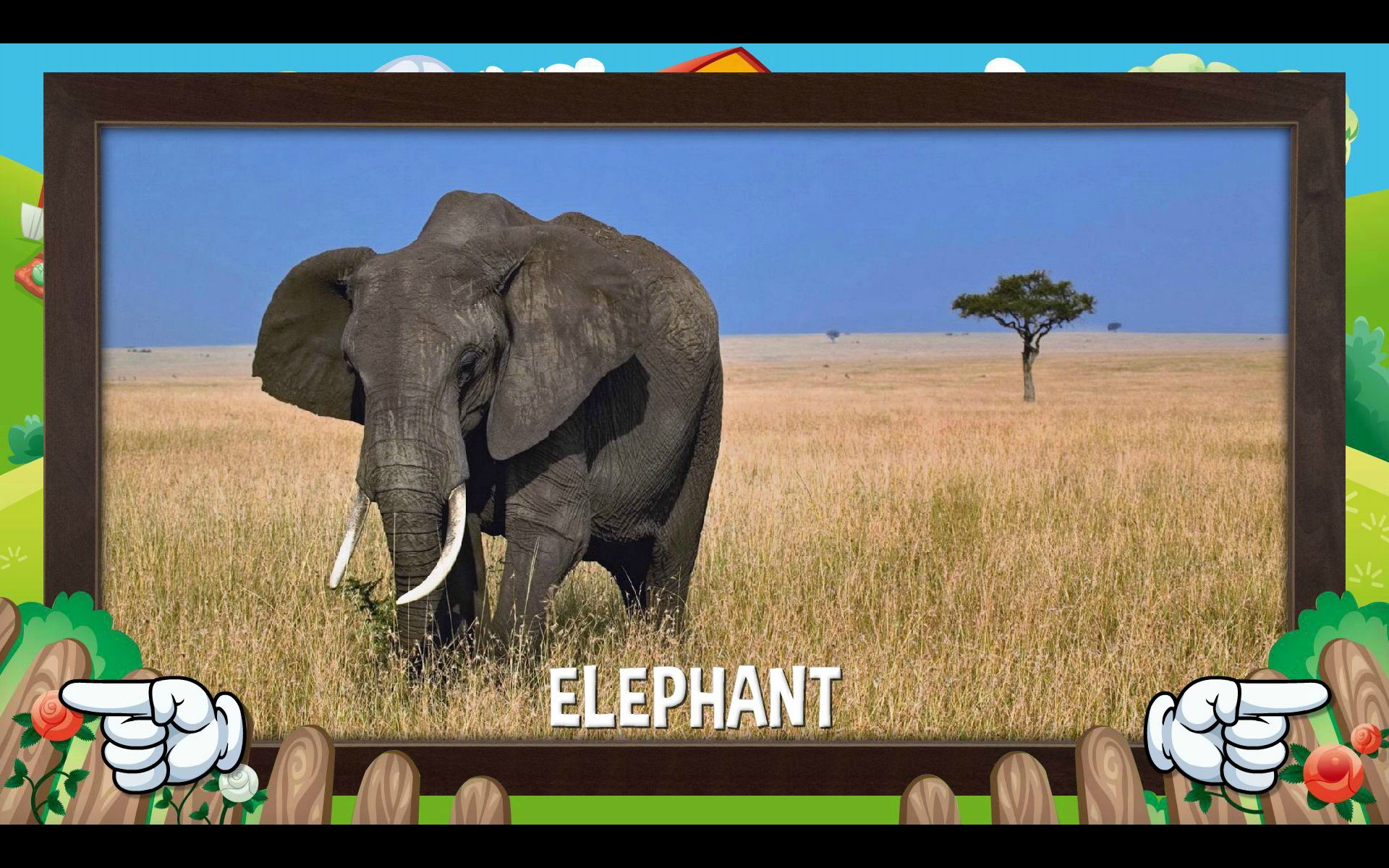 My Animal Friends - App on Amazon Appstore