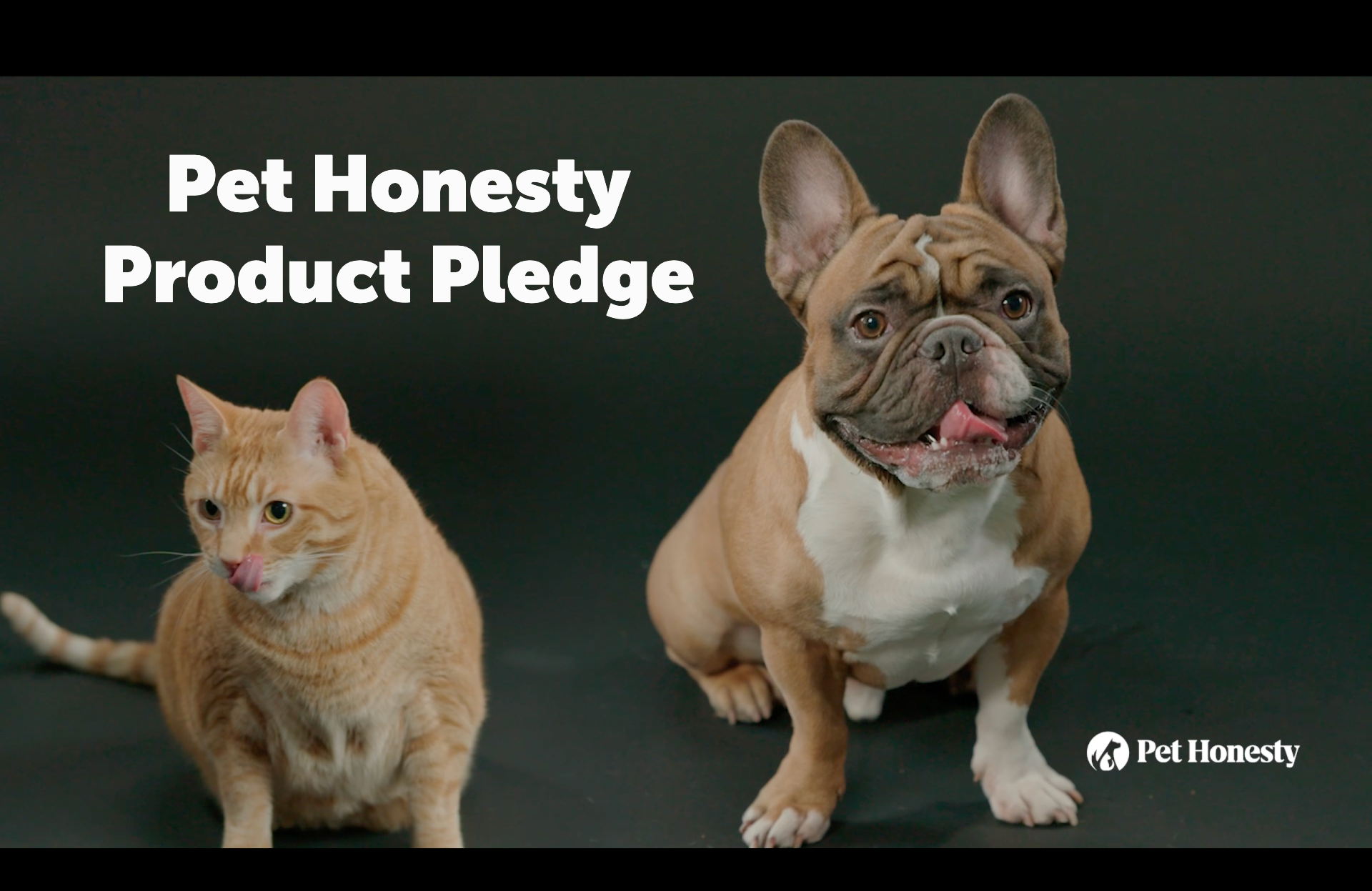 Watch Pet Honesty Product Pledge on Amazon Live