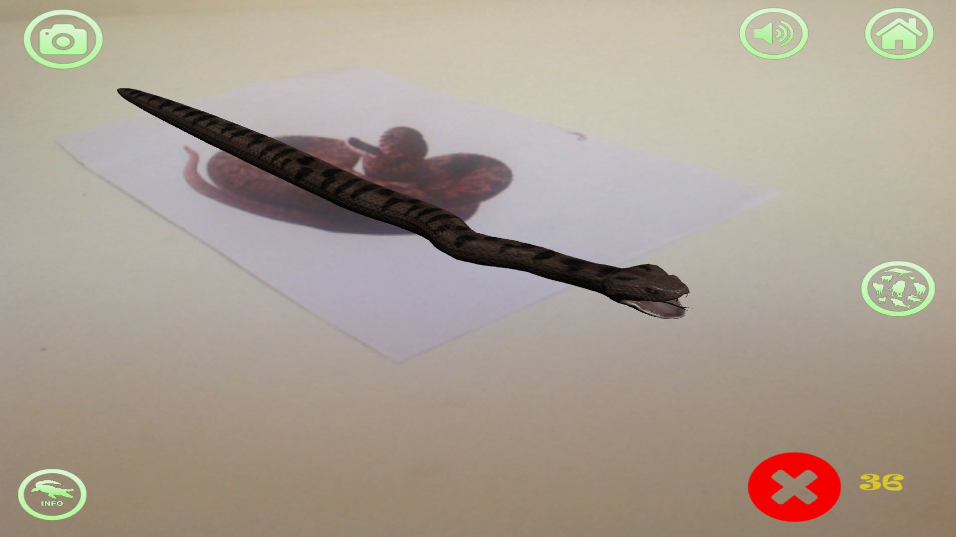 Animal Life 4D - App on the Amazon Appstore