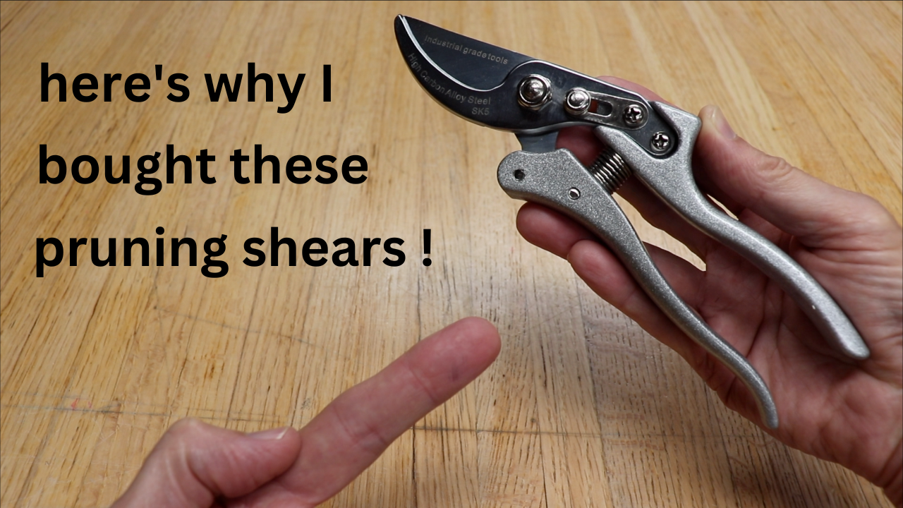 Chris Notap's Amazon Page