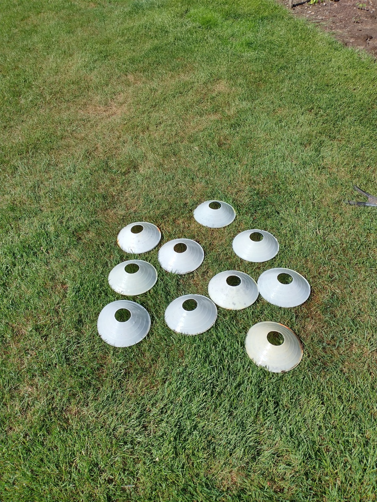 Amazon.com : Disc Cones - Set of 50 Orange With Carrier by America ...