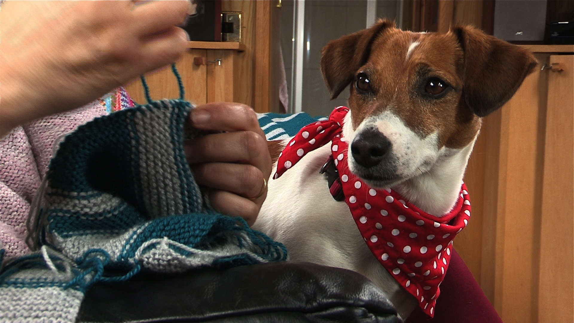 Chico Chugg picture mix up:Amazon.de:Appstore for Android