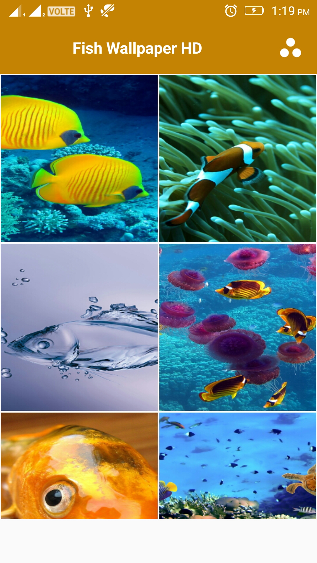 Fish 4k Wallpaper - App on the Amazon Appstore
