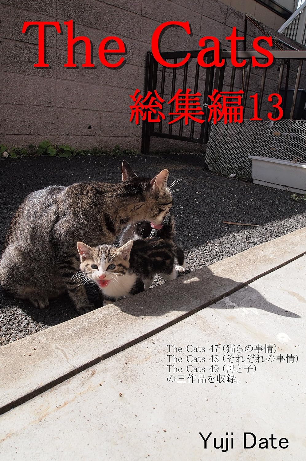 Amazon.com: The Cats Compilation 13 (Japanese Edition) eBook : Date ...