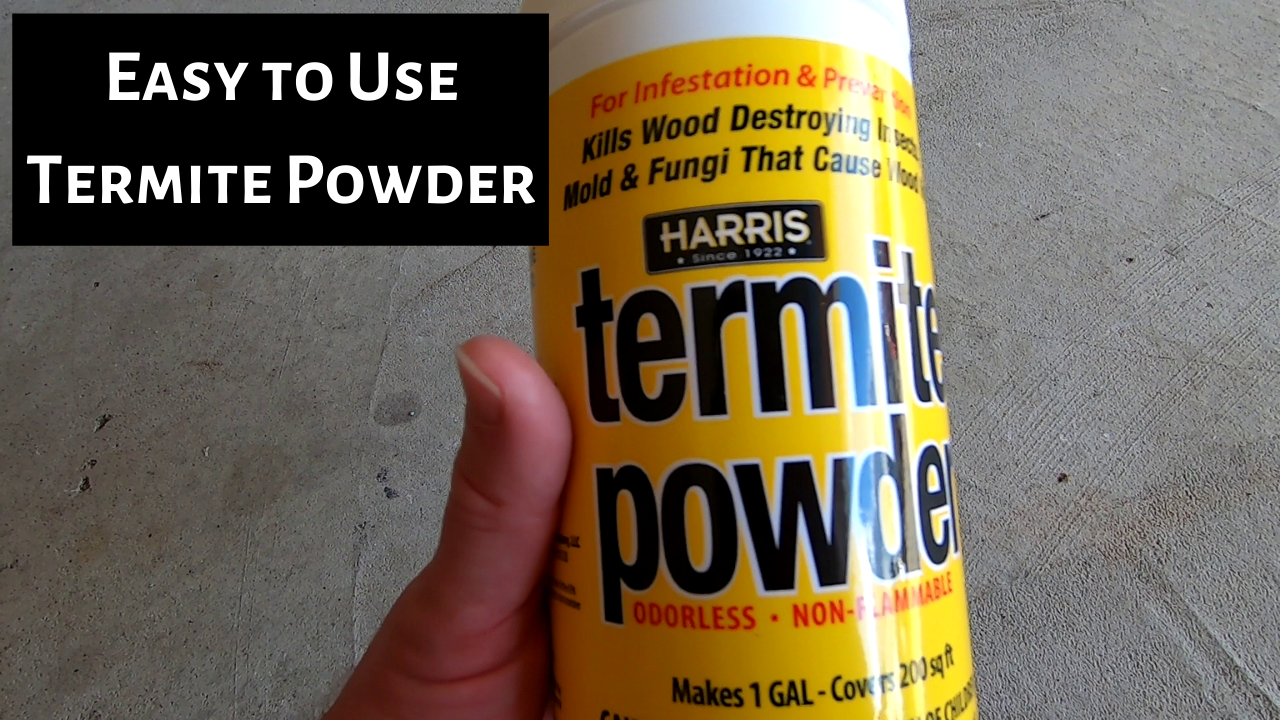 Watch This Termite Powder Seems to Work Well on Amazon Live