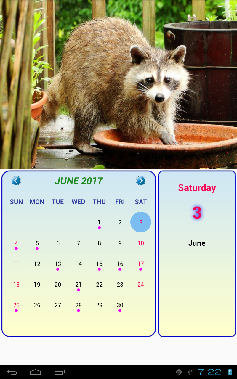 Calendar My Raccoon - App on Amazon Appstore