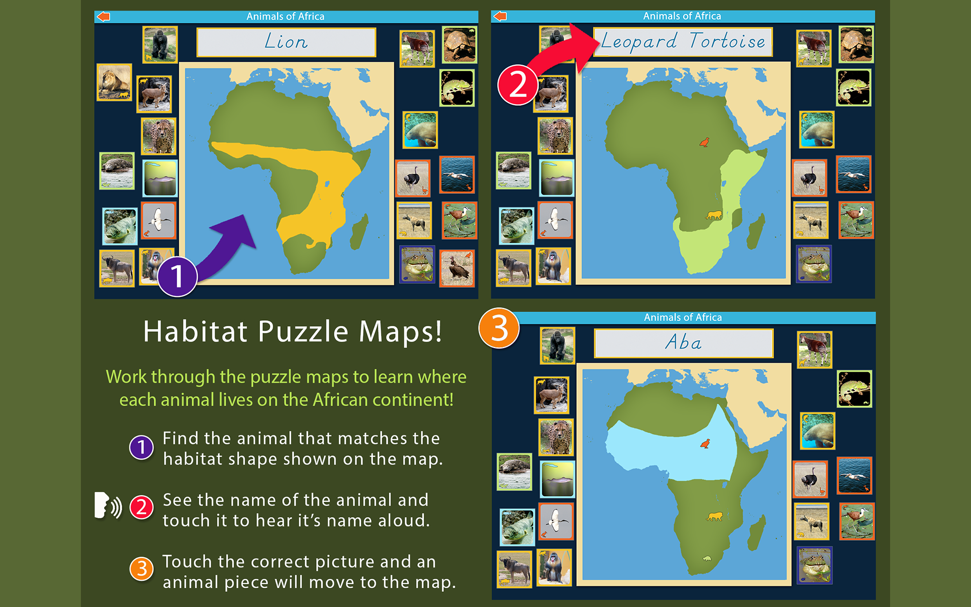 Animals of Africa - Montessori Geography & Science for Kids - App on ...
