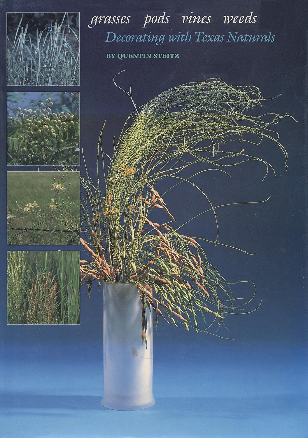 Grasses, Pods, Vines, Weeds: Decorating with Texas Naturals 1, Steitz ...