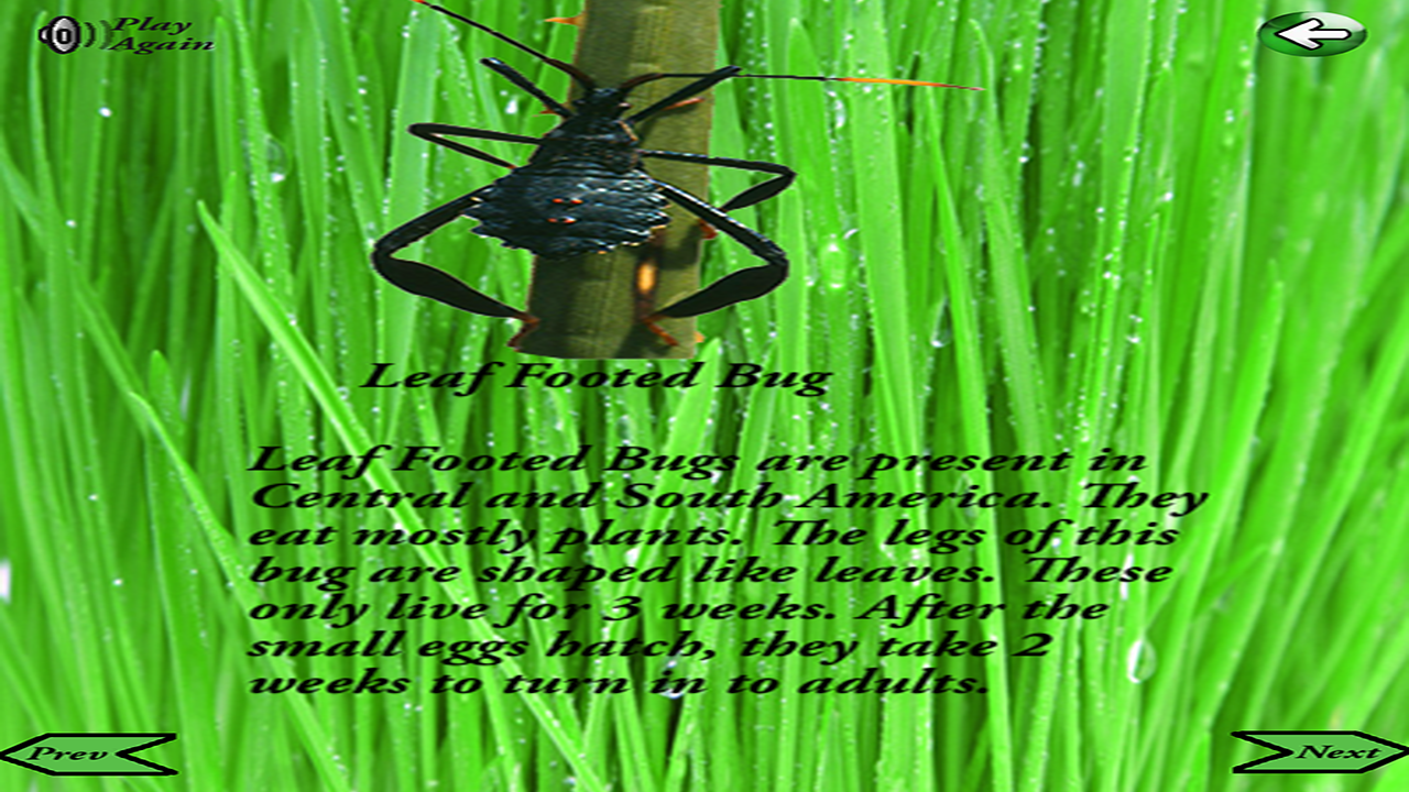 Bugs World - App on Amazon Appstore
