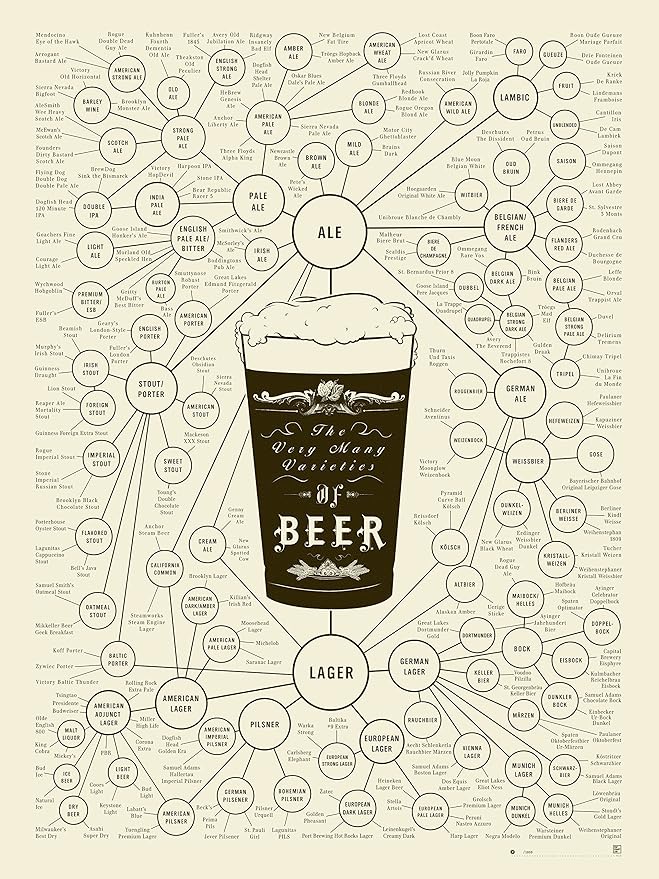 Amazon.com: Beer Types Poster - The Very Many Varieties of Beer by Pop ...