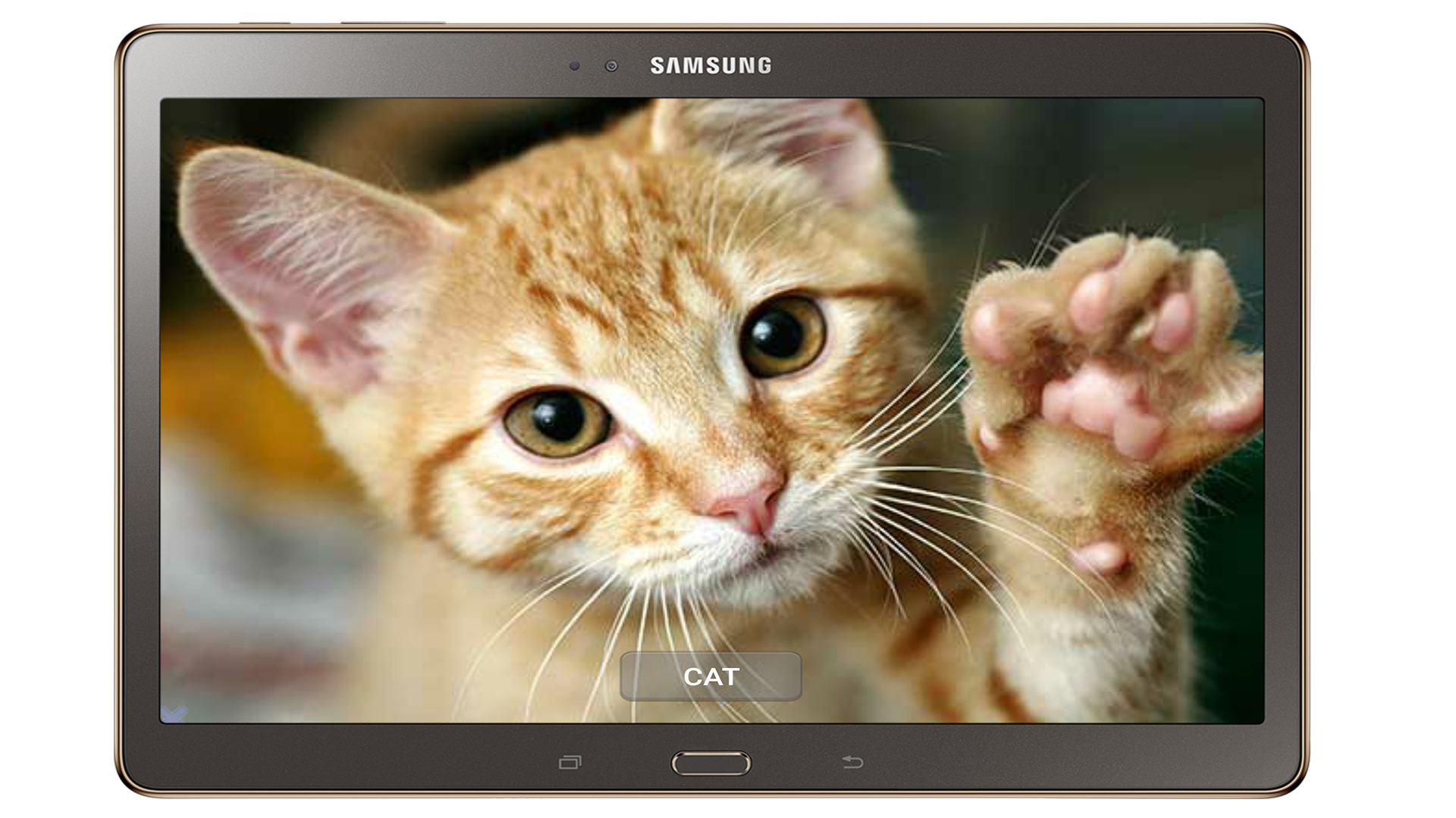 Animal Sounds Pro - App on Amazon Appstore