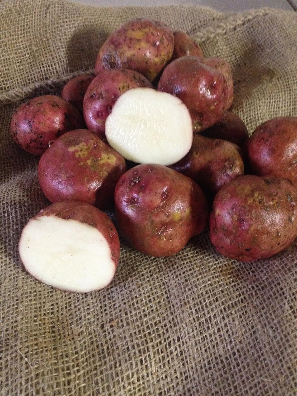 Amazon.com : Red Pontiac Patatoes - (4 lb seeds) : Fresh Vegetable ...