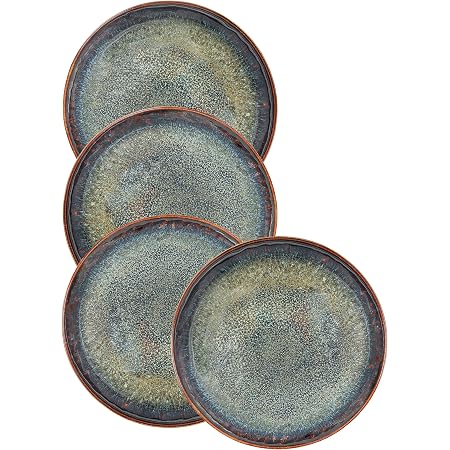 Amazon.com | Jinsongdafa 10 inch Ceramic Dinner Plates Set of 4, Main ...