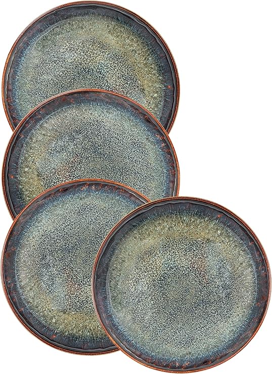 Amazon.com | Jinsongdafa 10 inch Ceramic Dinner Plates Set of 4, Main ...