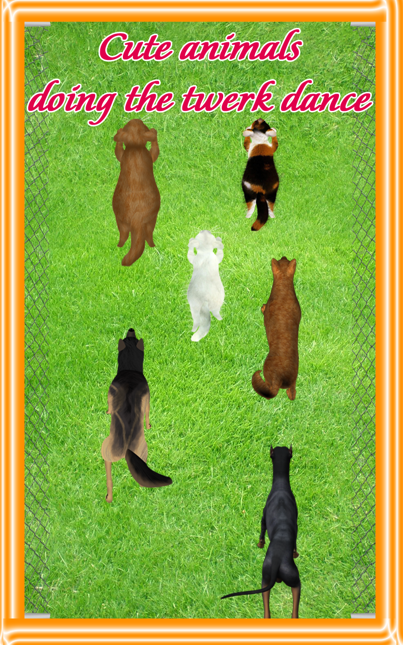 Cats and Dogs Twerk : The animal musical twerking to the beat - Free ...