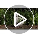 Amazon.com : Aclema Large Face Planters for Outdoor Indoor Plants ...