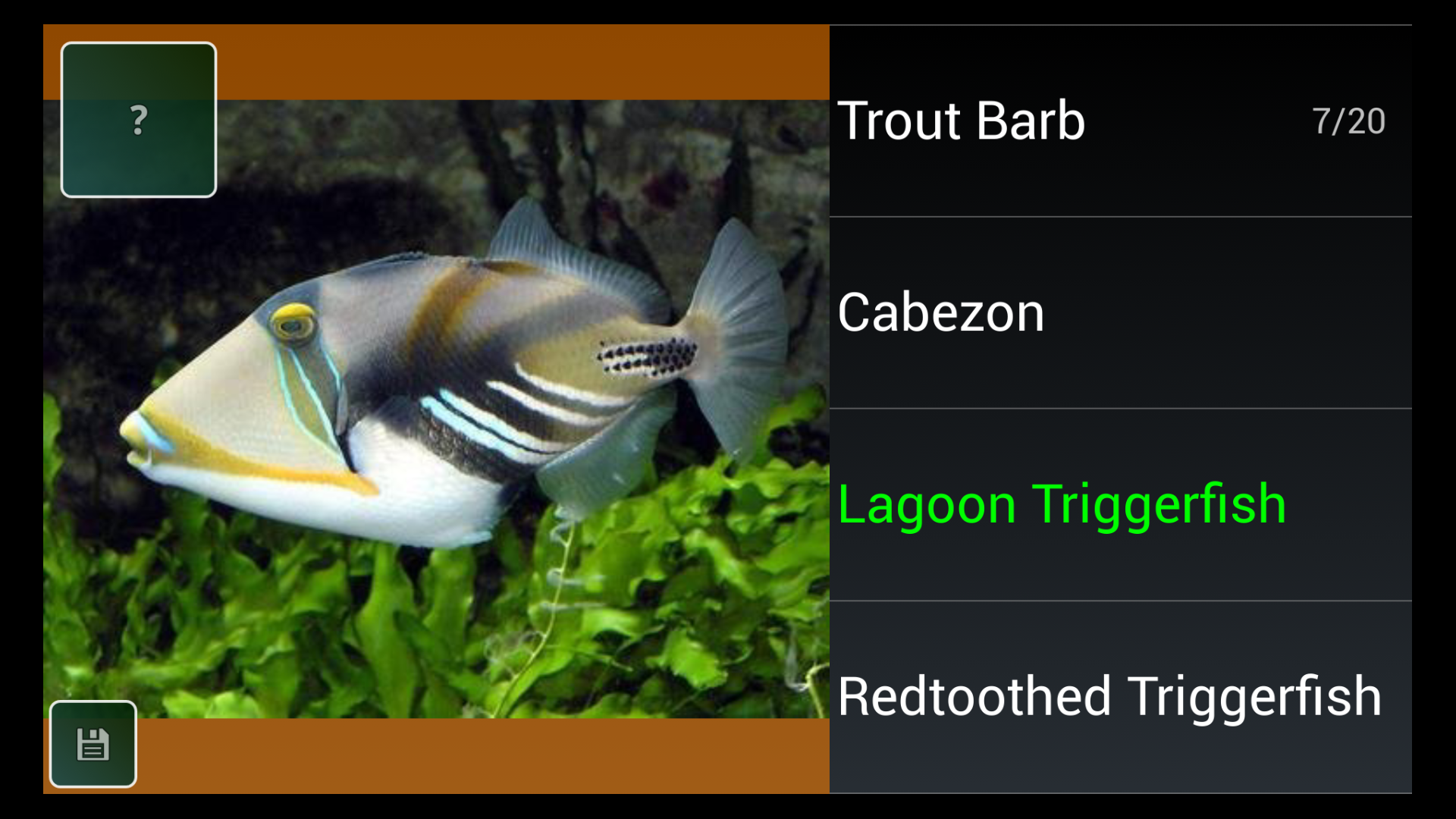 Fish Species Trivia Quiz - App on Amazon Appstore