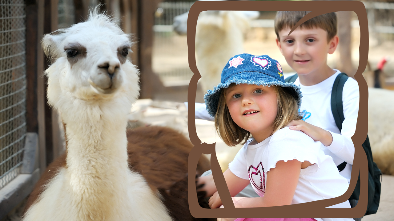 Zoo Animals Photo Frames - App on Amazon Appstore