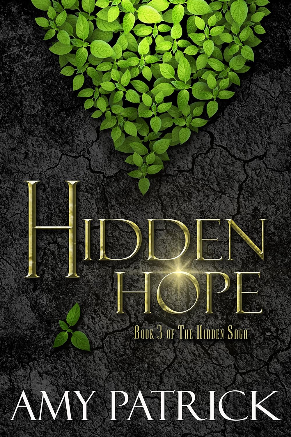 Amazon.com: Hidden Hope, Book 3 of the Hidden Saga eBook : Patrick, Amy ...
