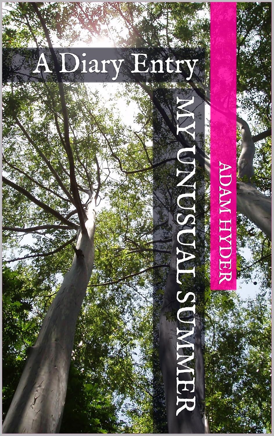 Amazon.com: My Unusual Summer: A Diary Entry eBook : Hyder, Adam: Books
