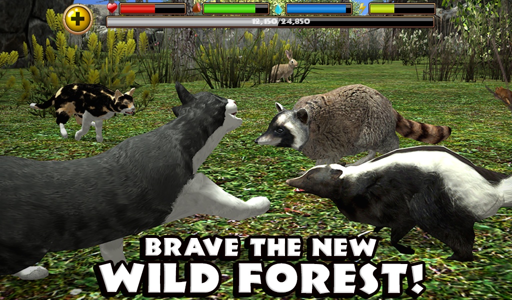 Stray Cat Simulator:Amazon.co.uk:Appstore for Android