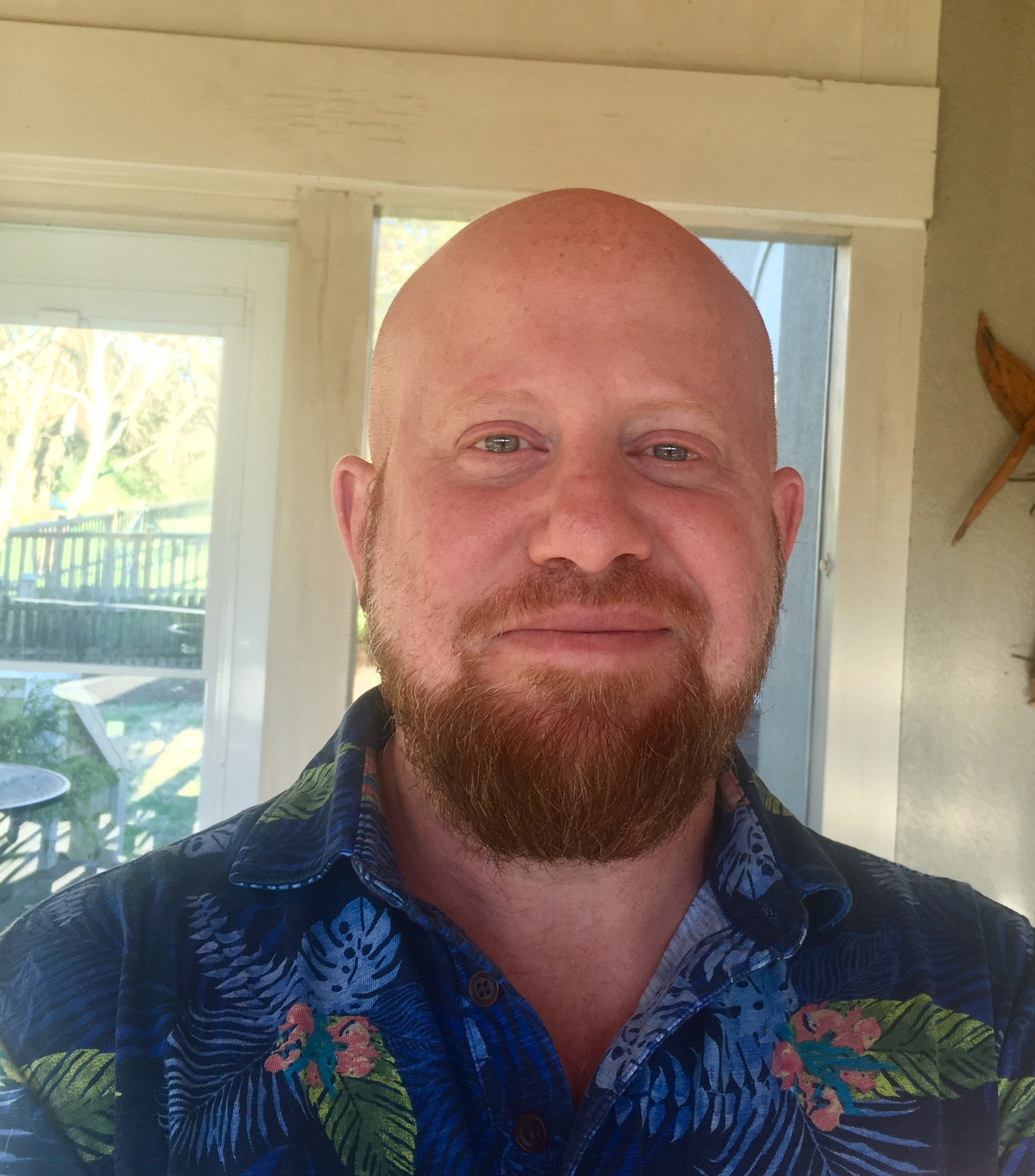 Amazon.com: Daniel Mode: books, biography, latest update