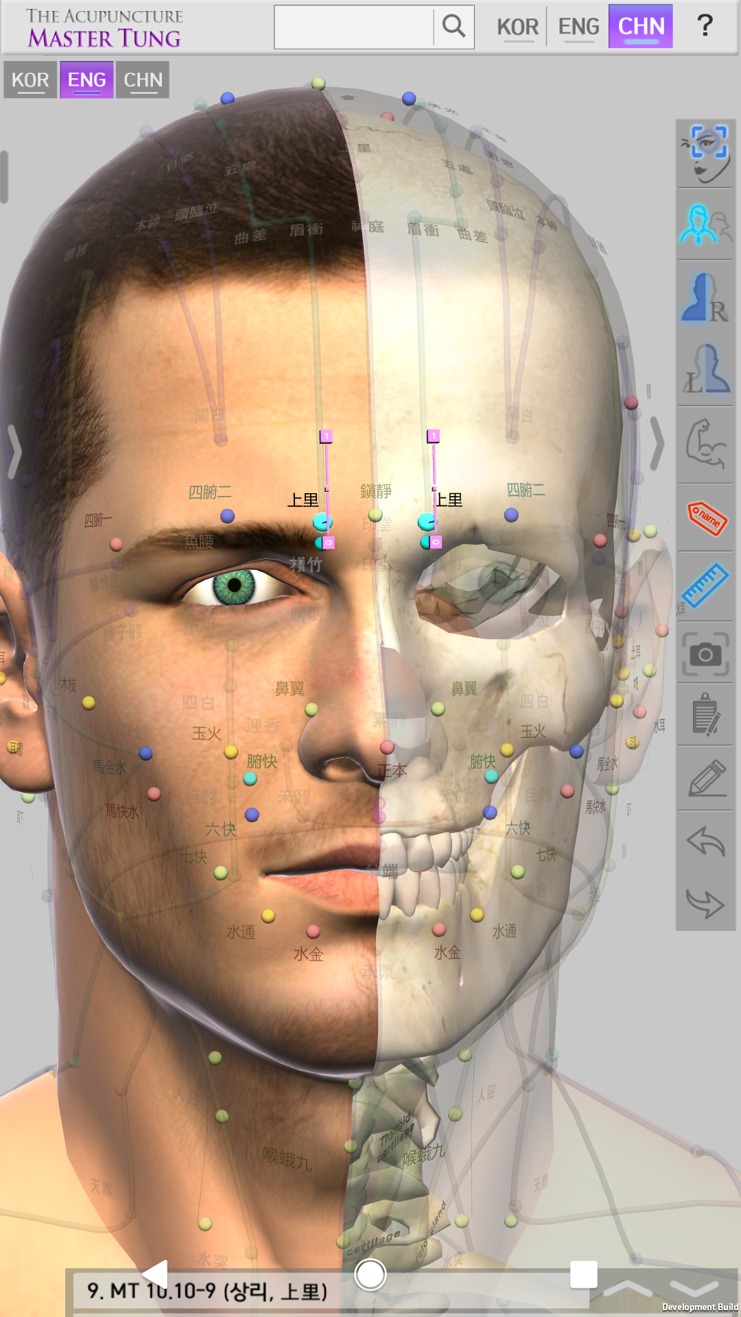 The Acupuncture Master Tung:Amazon.com:Appstore for Android