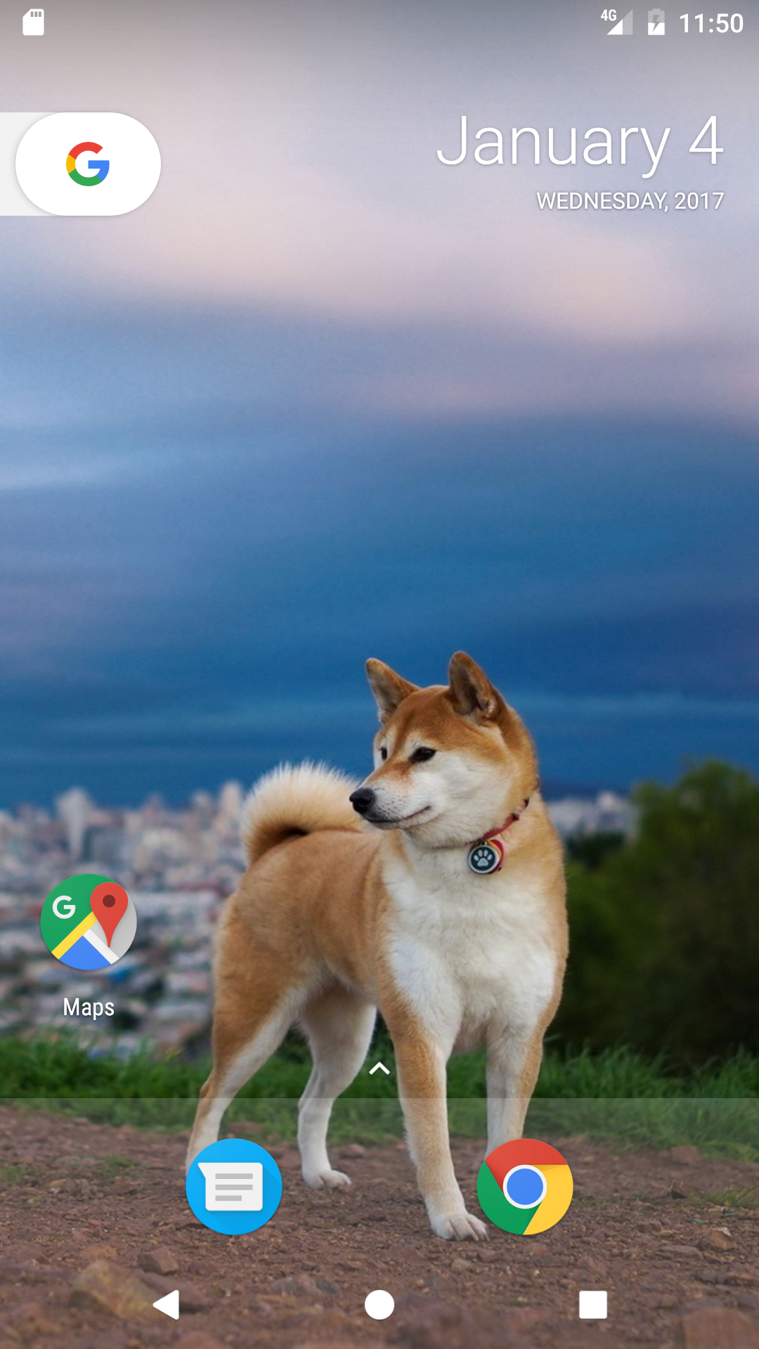 Husky Pup Wallpapers HD - App on Amazon Appstore