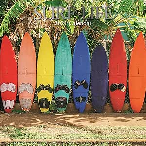 Amazon.com: 2021 Wall Calendar - Surf Life Calendar, 12 x 12 Inch ...