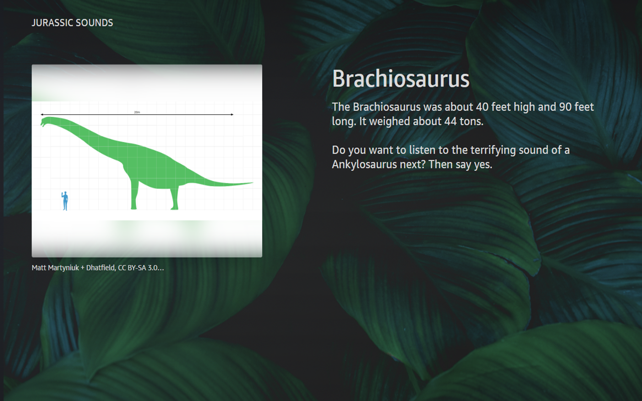 Amazon.com: Jurassic Sounds | Dinosaur Sounds, Images & Facts : Alexa ...