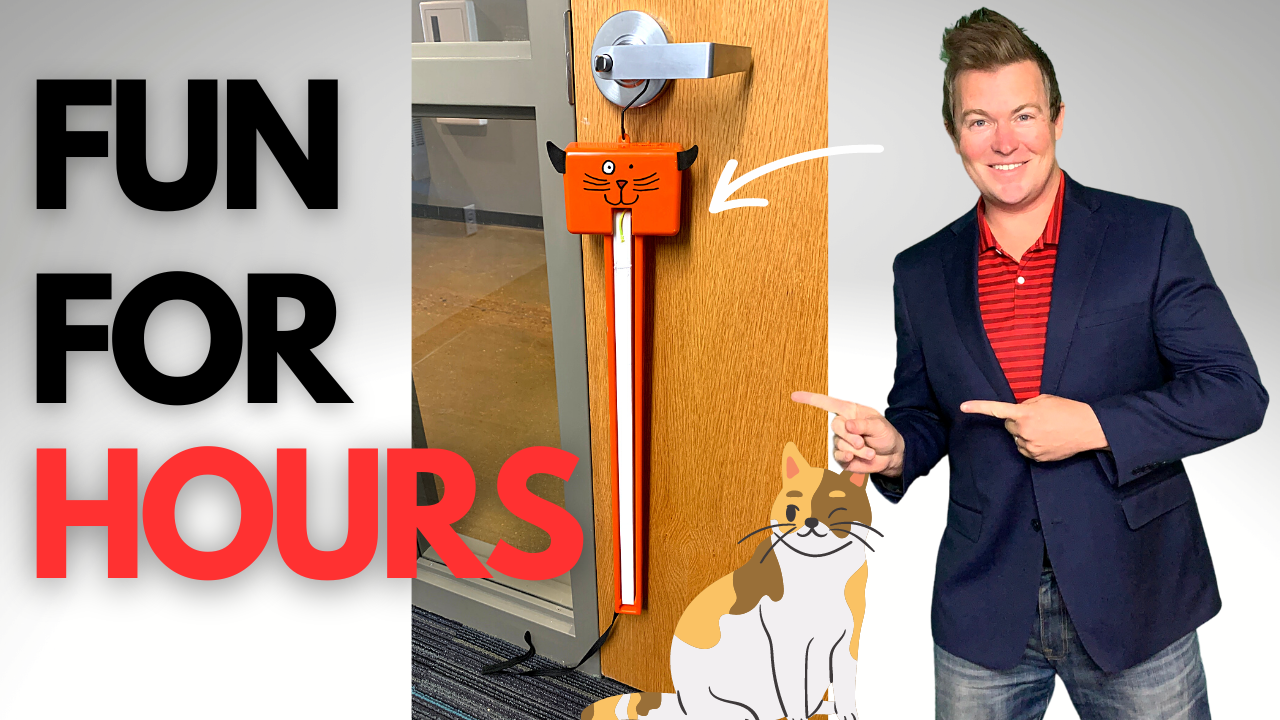 Watch Review and demo of over the door cat toy with string on Amazon Live