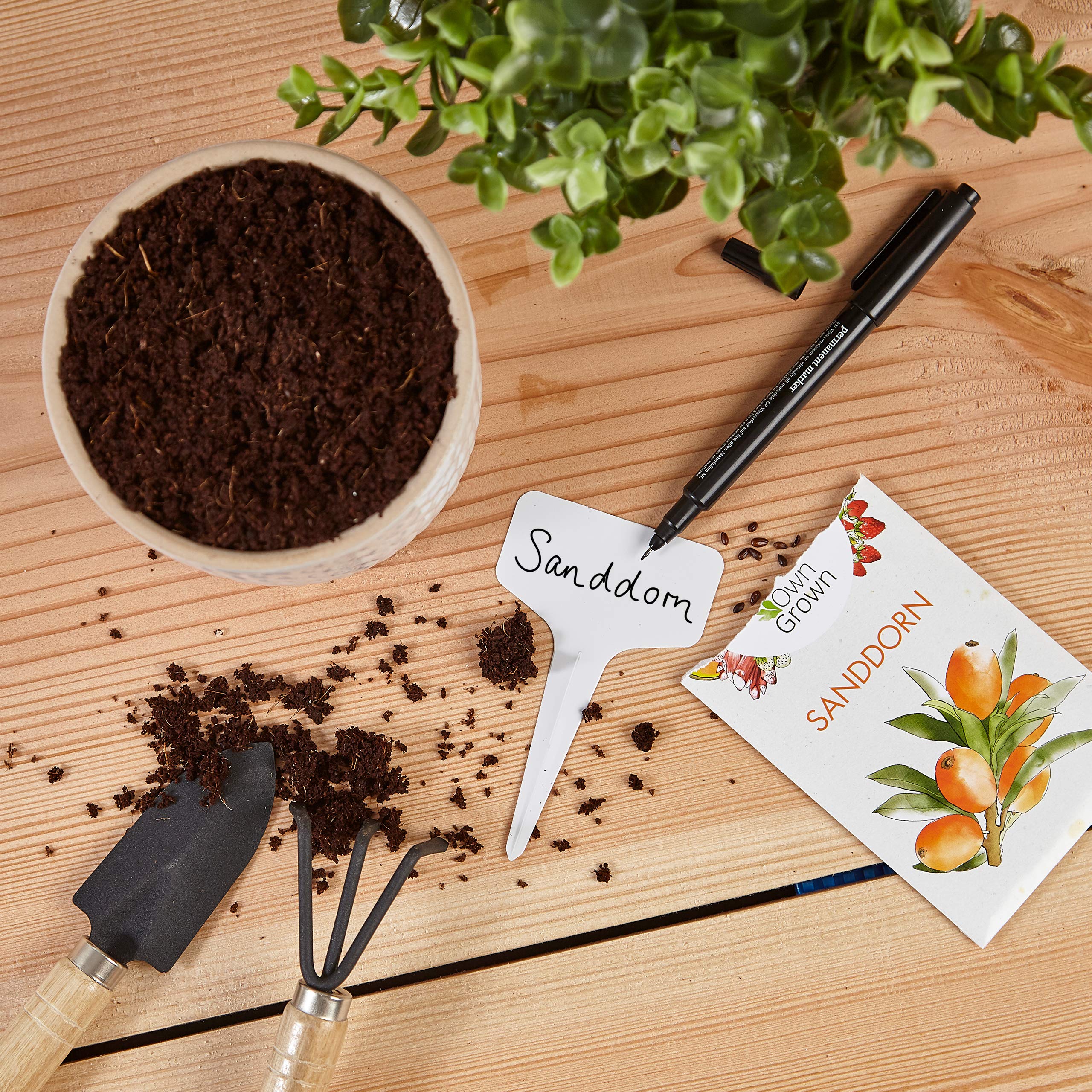 Snapklik.com : Plant Markers: 120 Plastic Plant Name Tags And ...