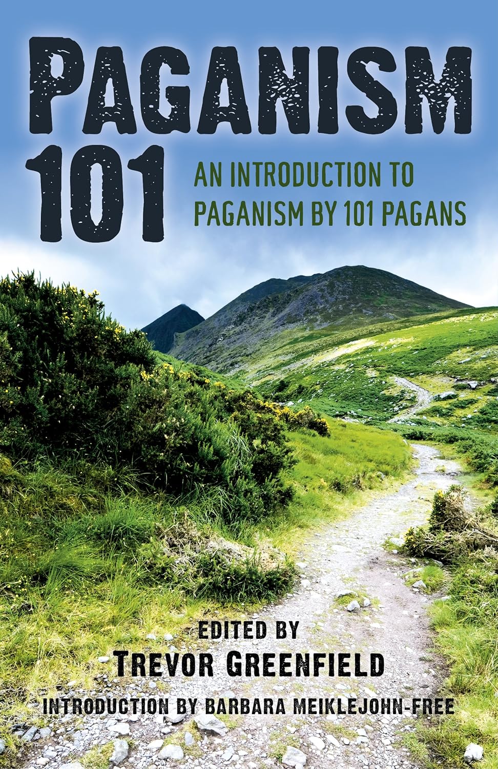 Amazon.com: Paganism 101: An Introduction to Paganism by 101 Pagans ...