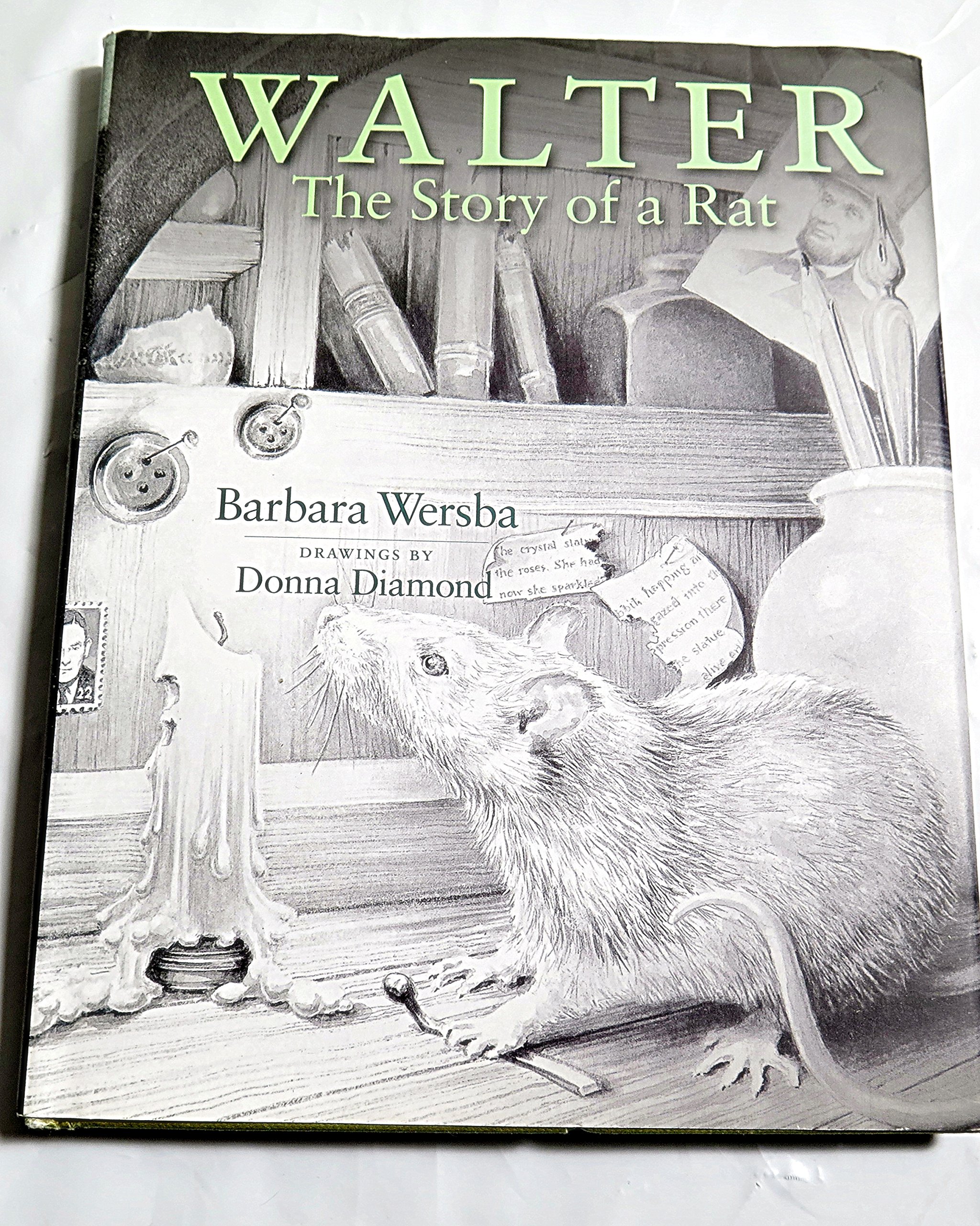 Walter: The Story of a Rat: Wersba, Barbara, Diamond, Donna ...