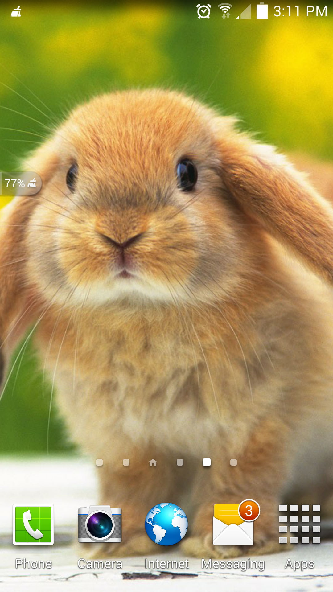 Cute Animals HD Wallpaper - App on Amazon Appstore