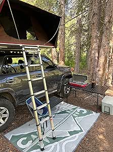 Amazon.com: Colorado Surf Society 4 x 6 Outdoor Rug, Water Resistant ...