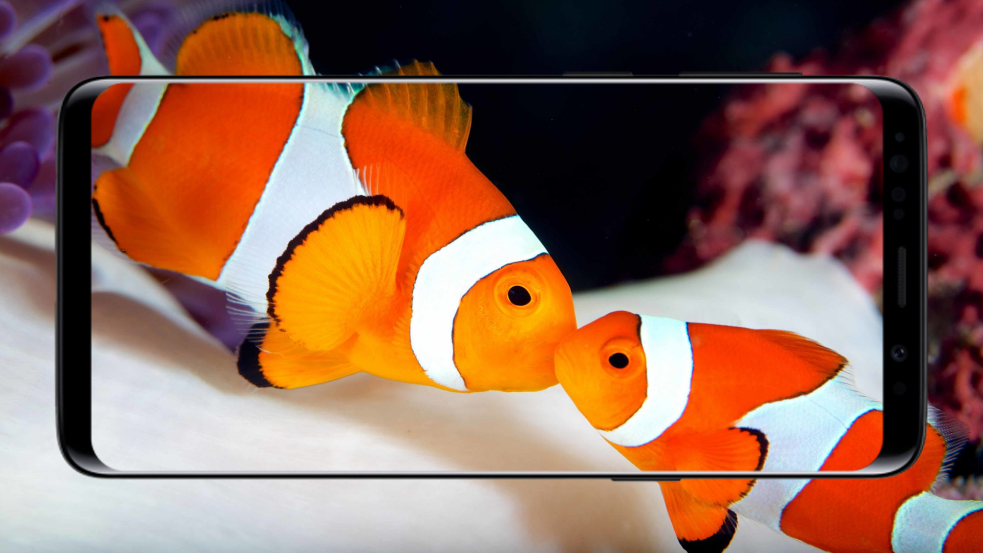 Real Aquarium Screensaver