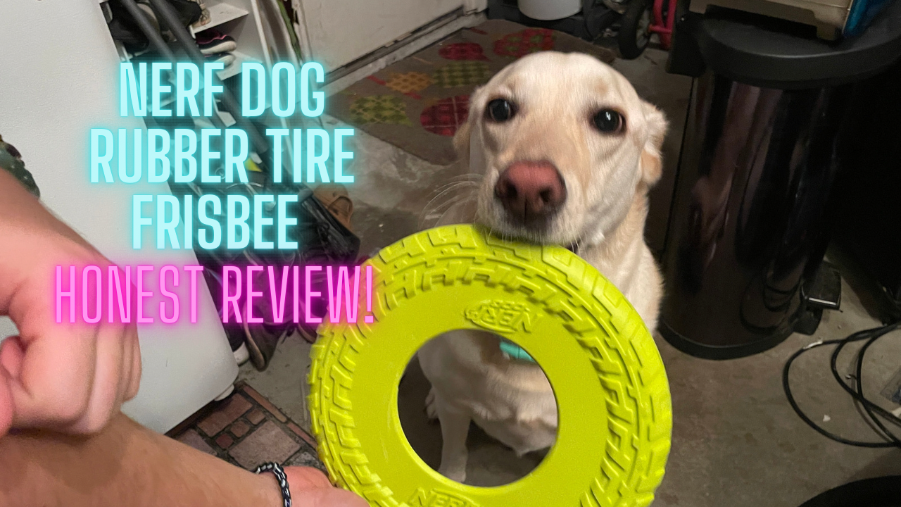 Watch Full Review of the Nerf Dog Rubber Tire Frisbee. Must Watch! on ...