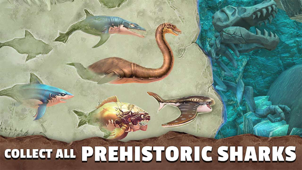 Hungry Shark Evolution Hungry Shark Evolution On The App Store