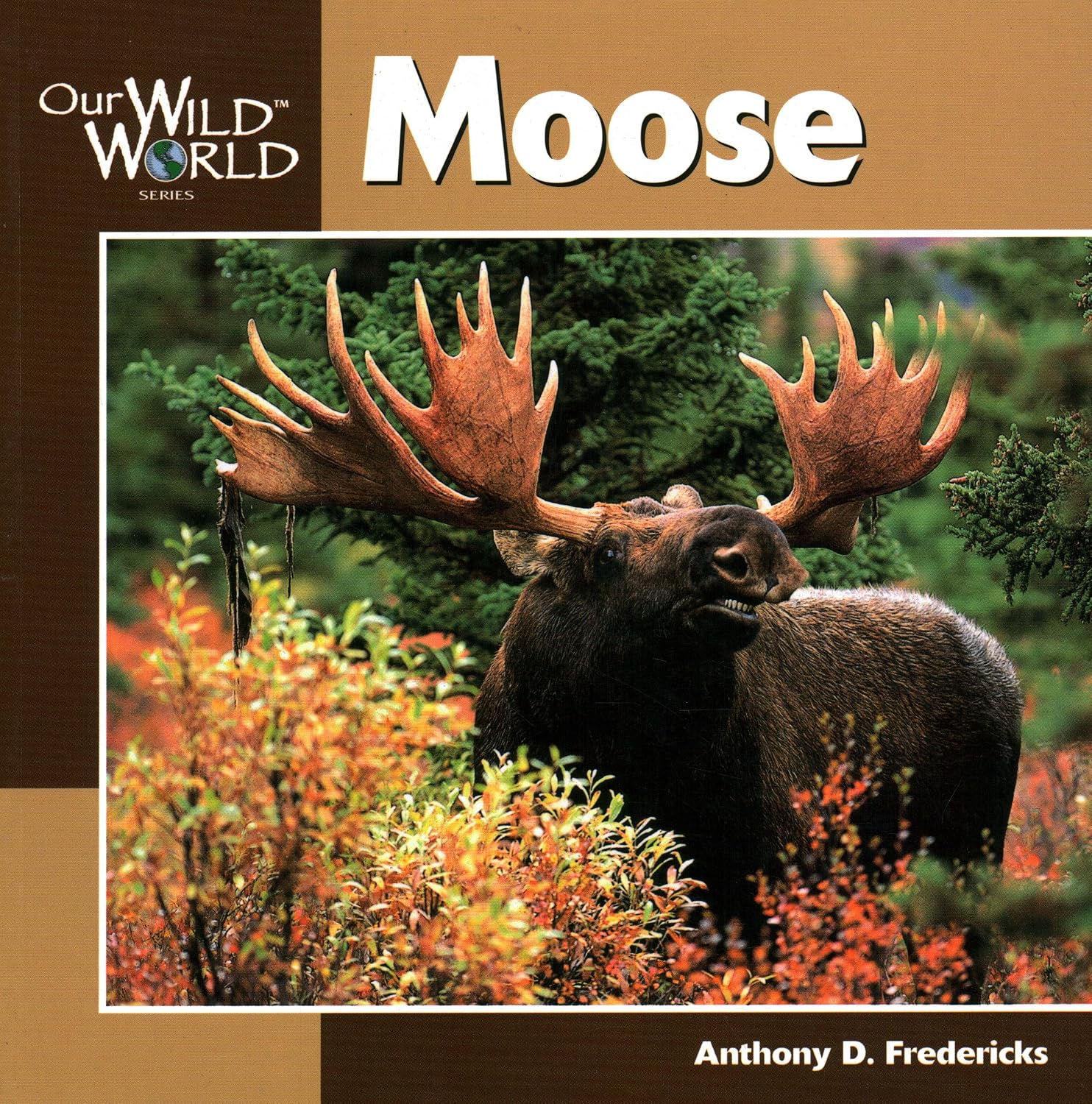 Moose (Our Wild World): Fredericks, Anthony: 9781559717441: Amazon.com ...