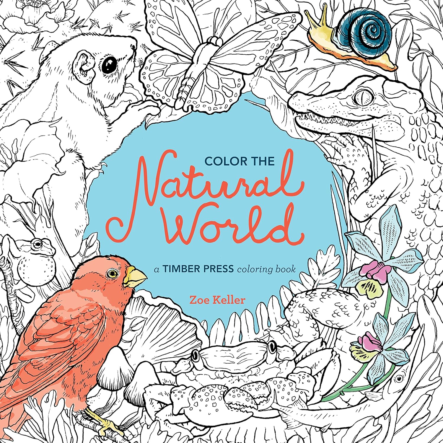 Amazon.com: Color the Natural World: A Timber Press Coloring Book ...