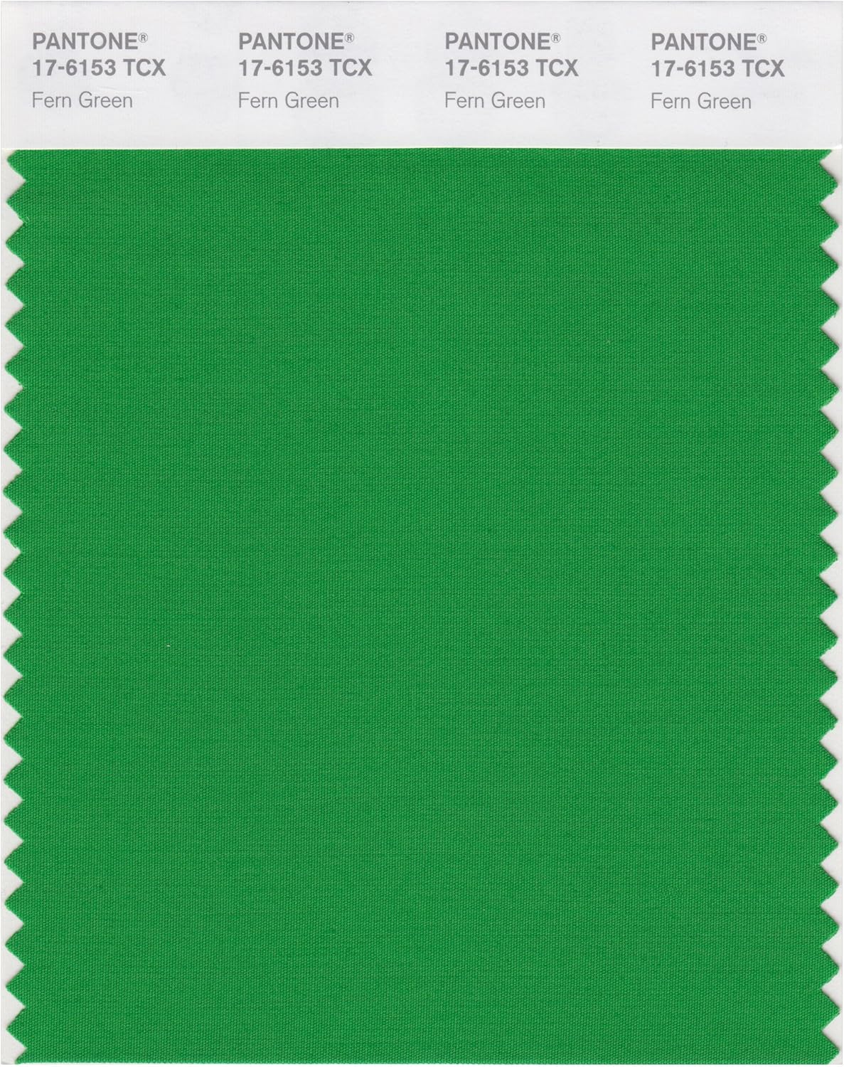 PANTONE Smart 17-6153X Color Swatch Card, Fern Green : Amazon.co.uk ...